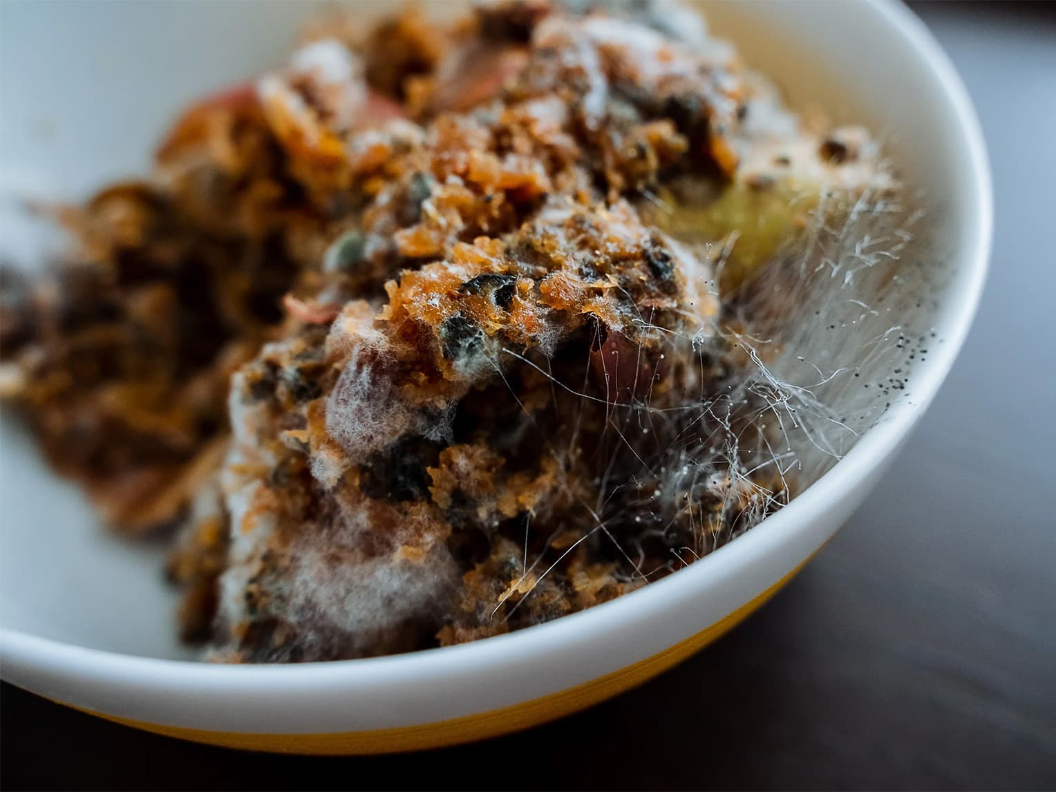 7 Food Safety Myths to Avoid | 4Patriots